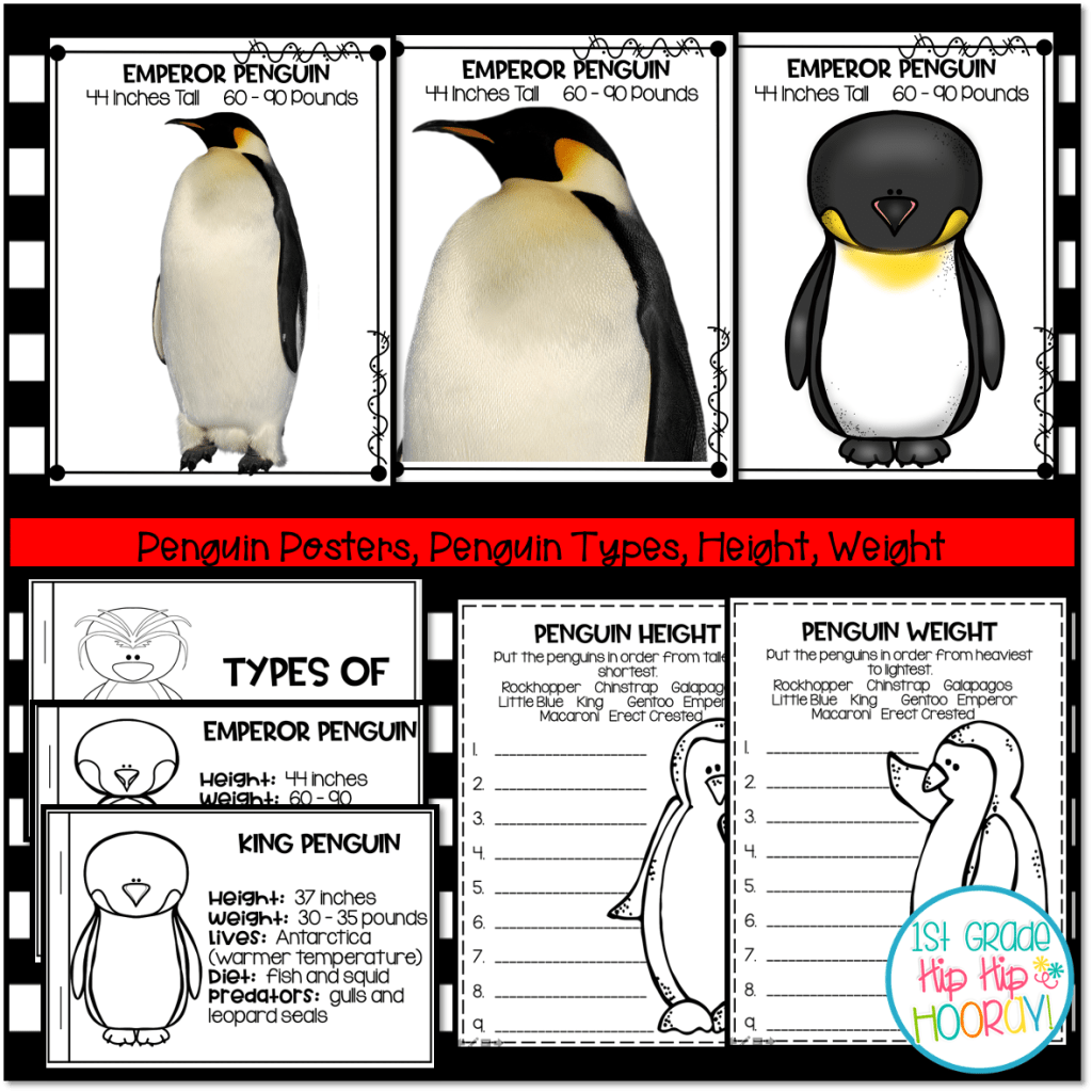 Penguins – First Grade Hip Hip Hooray!