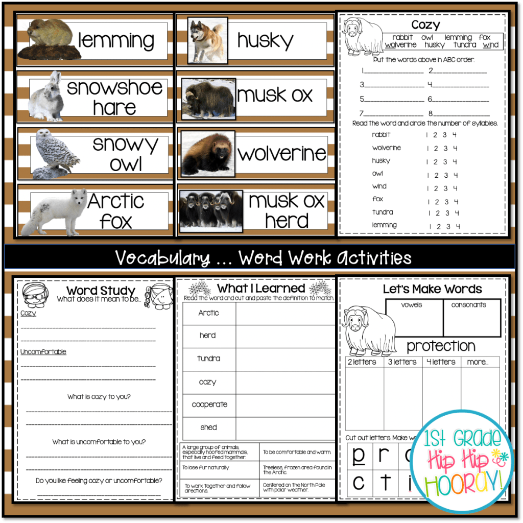 Cozy by Jan Brett – First Grade Hip Hip Hooray!