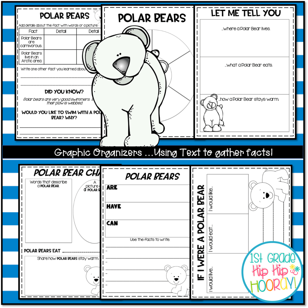 Polar Bears…have a polar bear day! – First Grade Hip Hip Hooray!