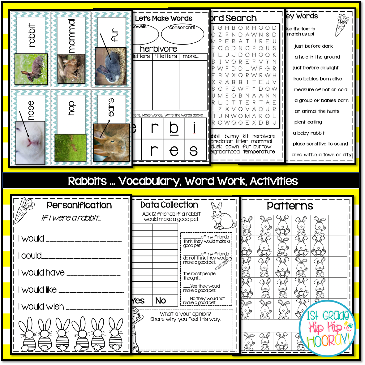 Informational Text and Life Cycle for Bunnies and Chicks