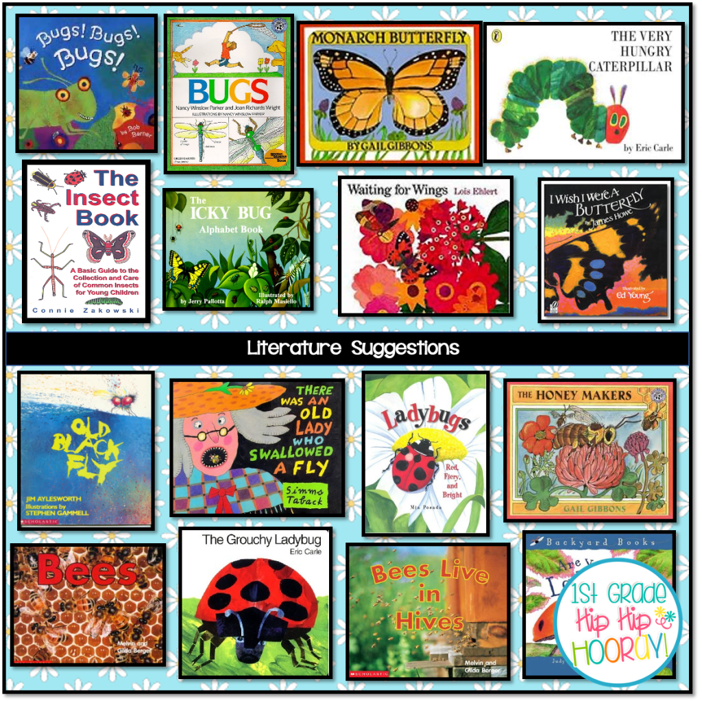 Insects are Interesting with Informational Text, Crafts, Vocabulary and ...