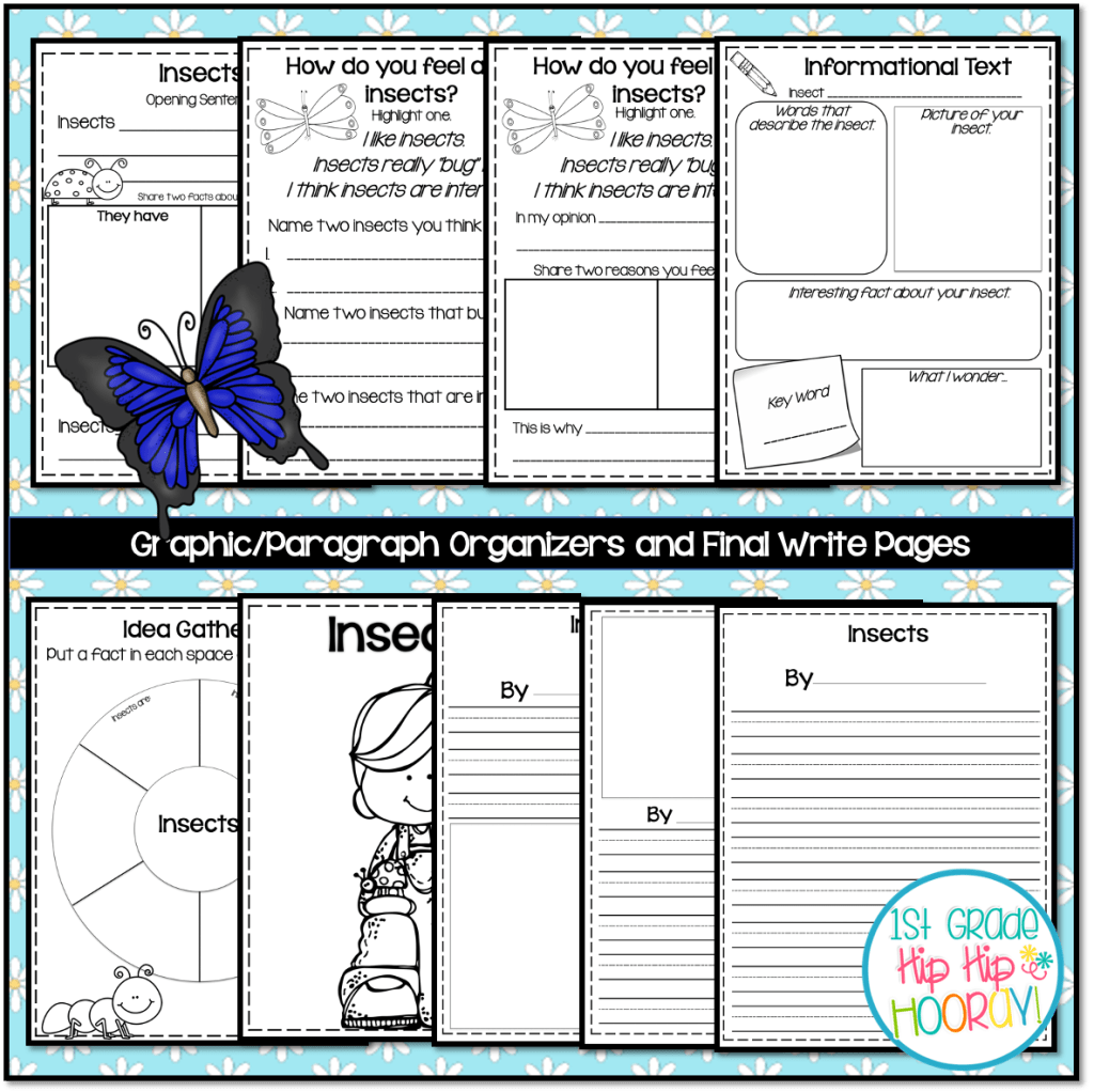 Insects are Interesting with Informational Text, Crafts, Vocabulary and ...