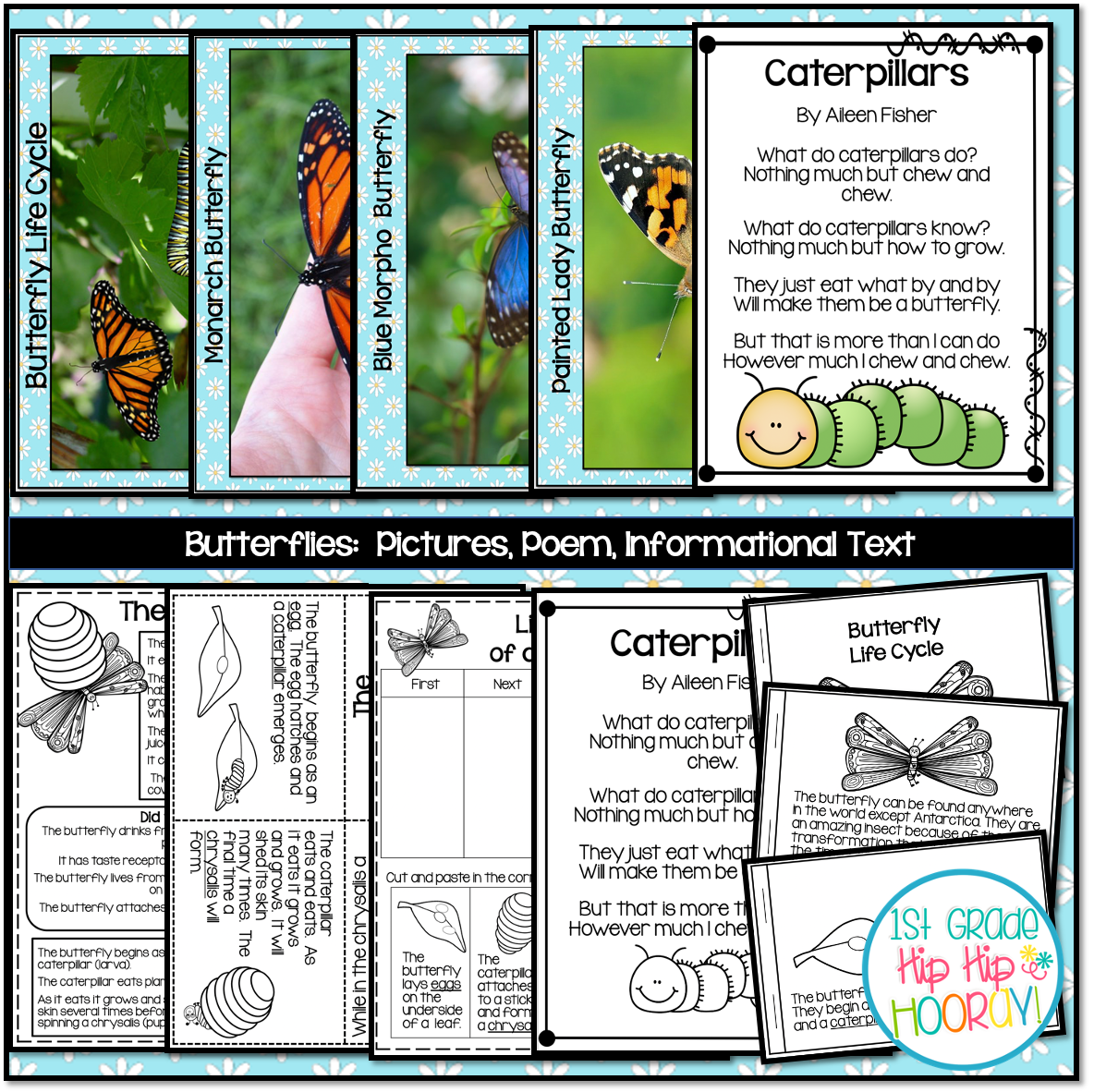 Insects are Interesting with Informational Text, Crafts, Vocabulary and ...