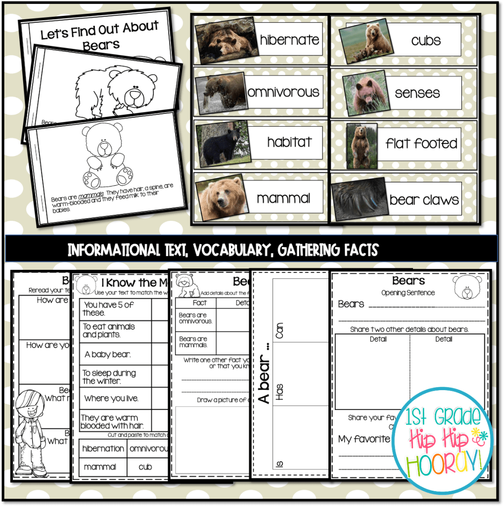 Favorite Bear Stories for Fall Into Winter