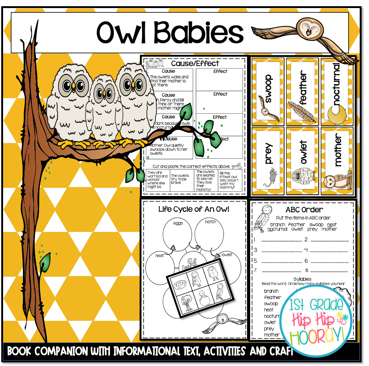 Week Fourteen Let's Discover Owls