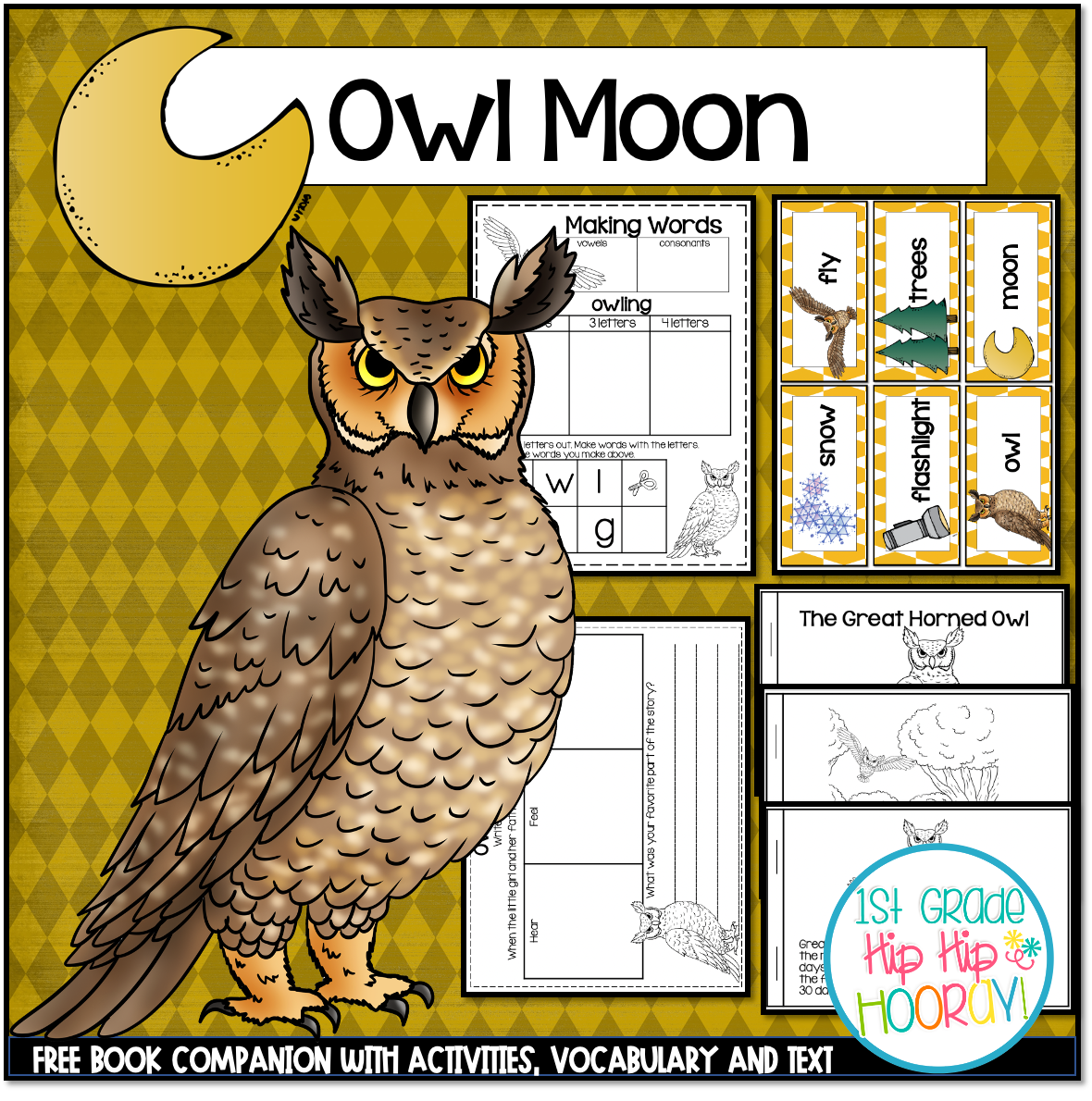 Week Fourteen Let's Discover Owls