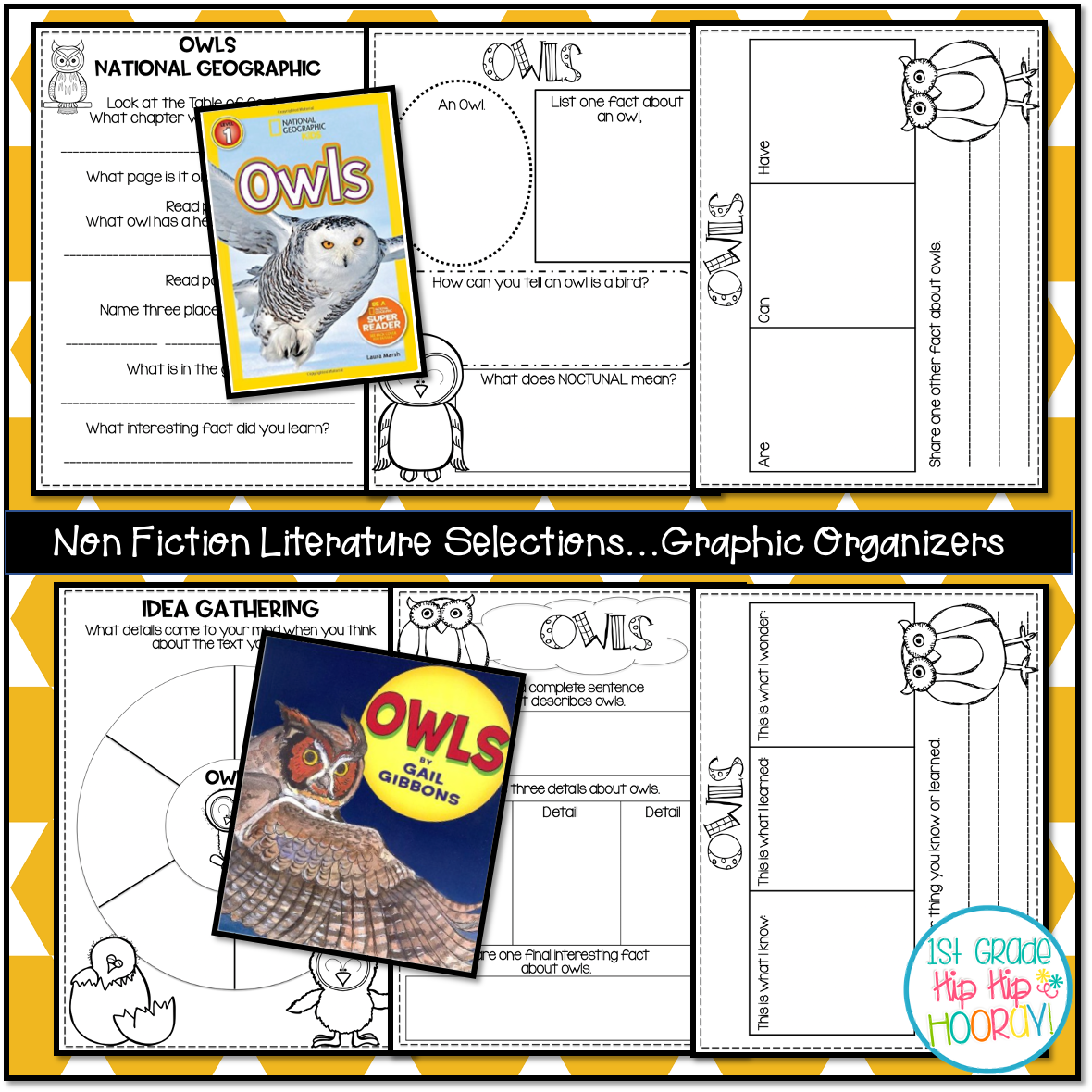 Week Fourteen Let's Discover Owls