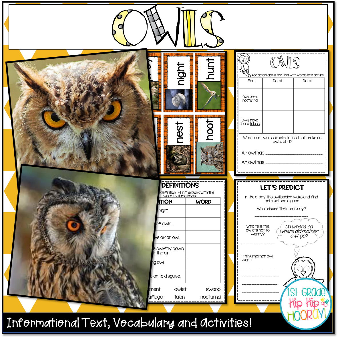 Week Fourteen Let's Discover Owls