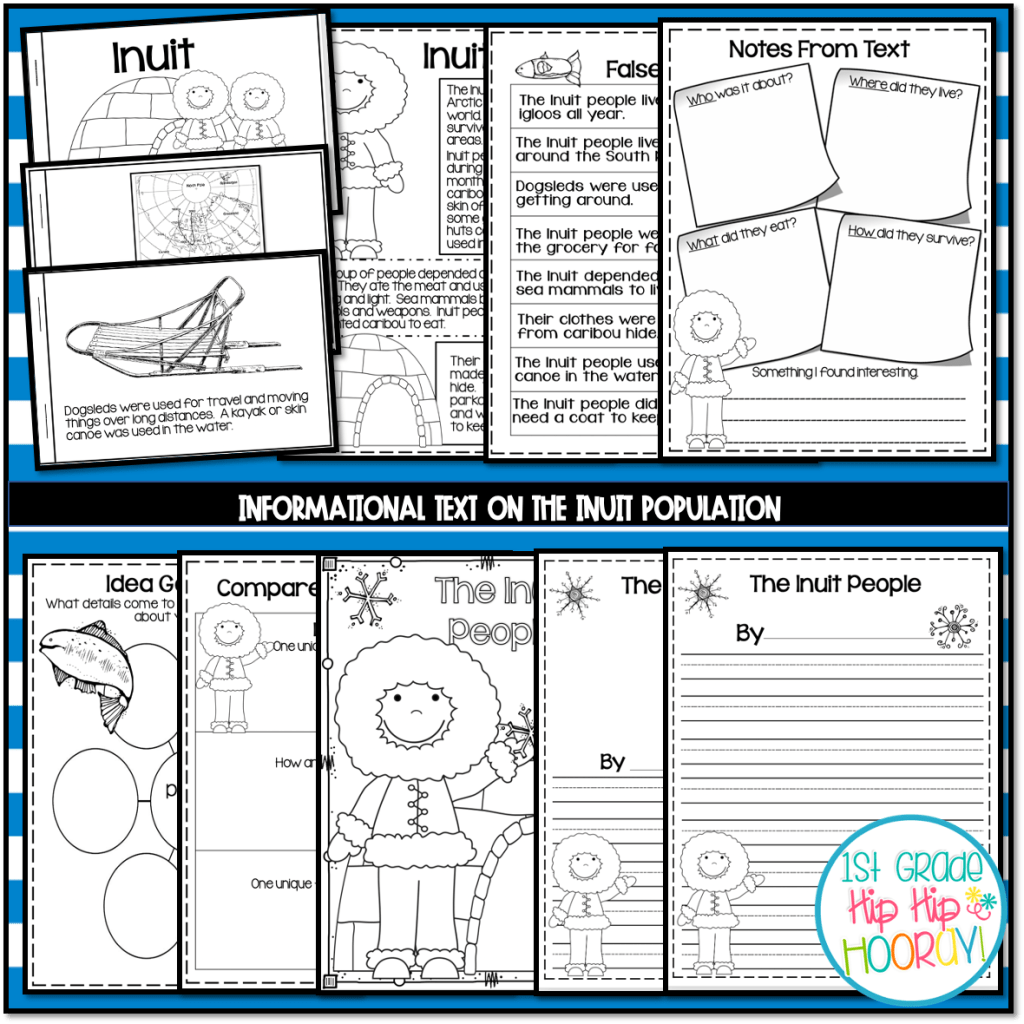 Polar and Arctic Animal Study