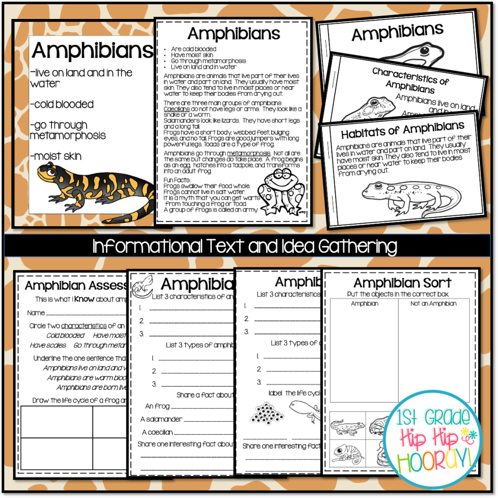 Let's Explore Animals with Informational Text and Literature