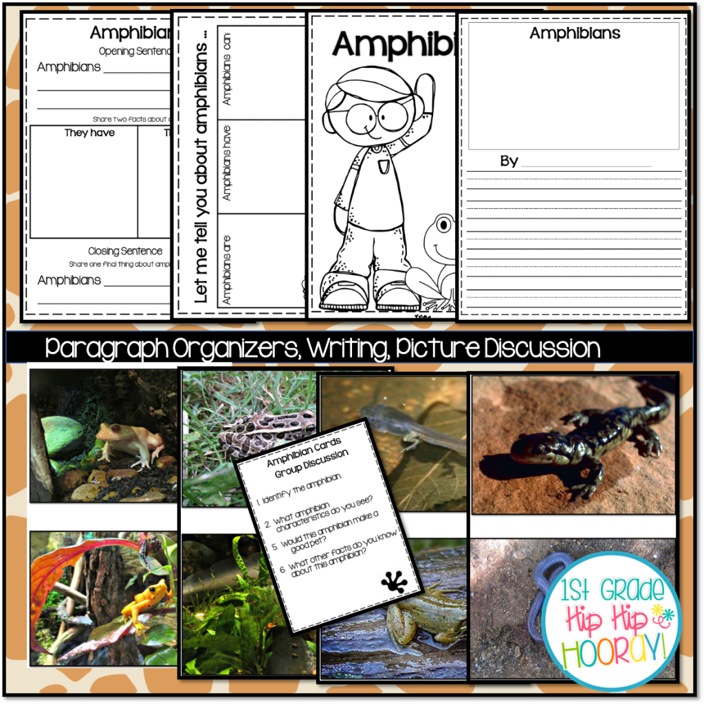 Let's Explore Animals with Informational Text and Literature