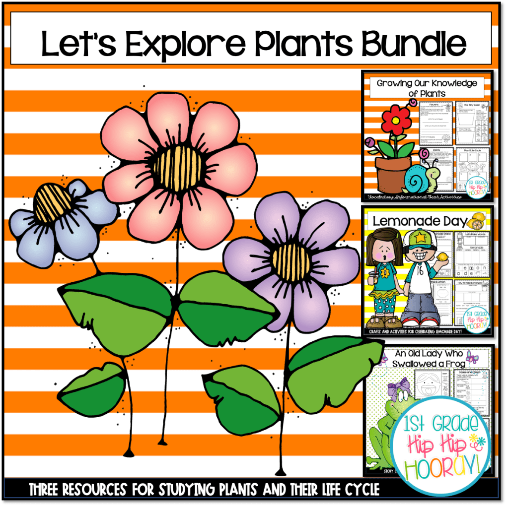 Growing our Knowledge of Plants...All About Plants and the Plant Life Cycle