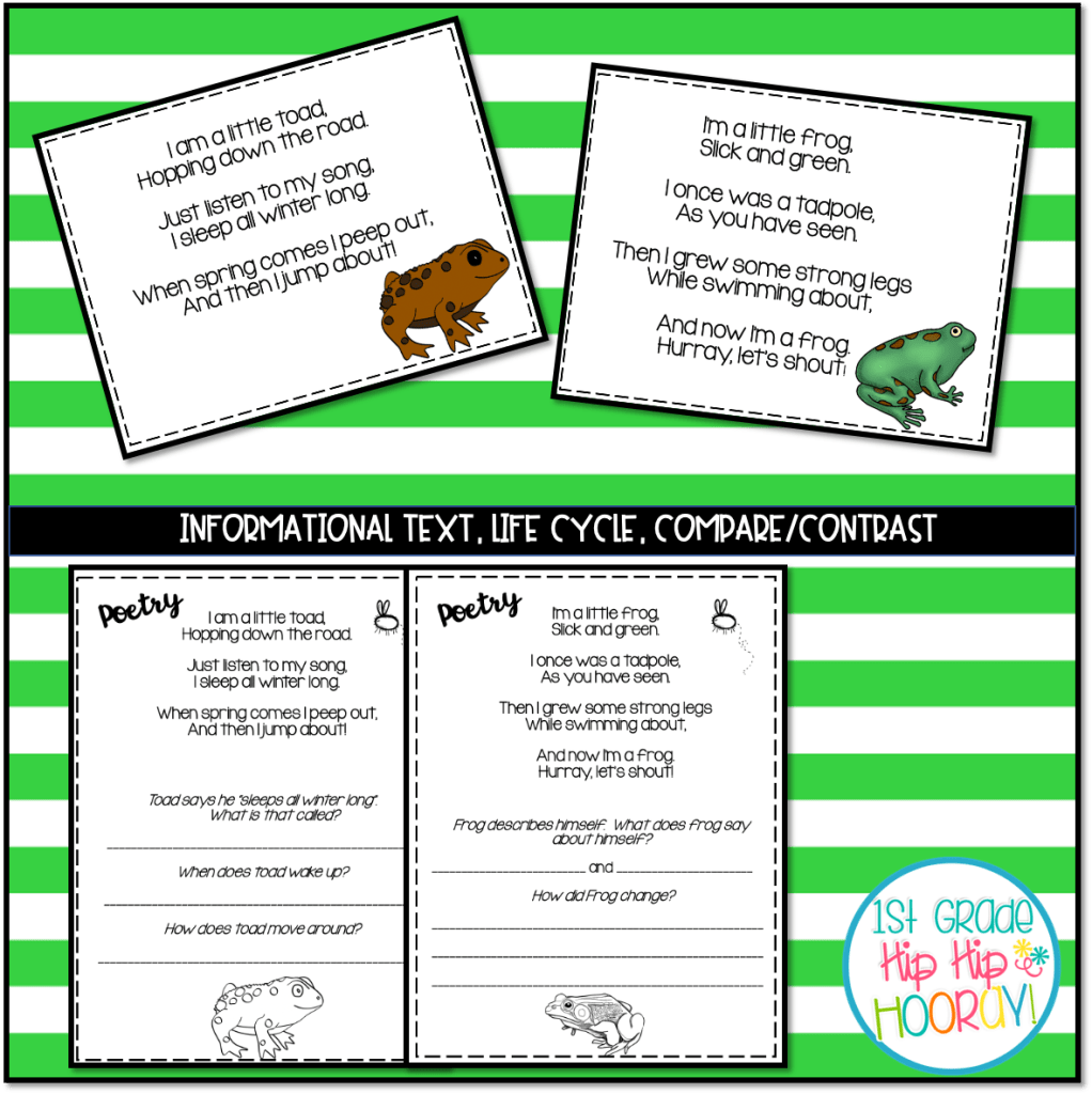 Let's Explore Animals with Informational Text and Literature
