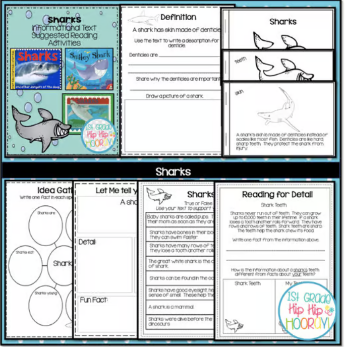 Let's Explore the Shark FREEBIE
